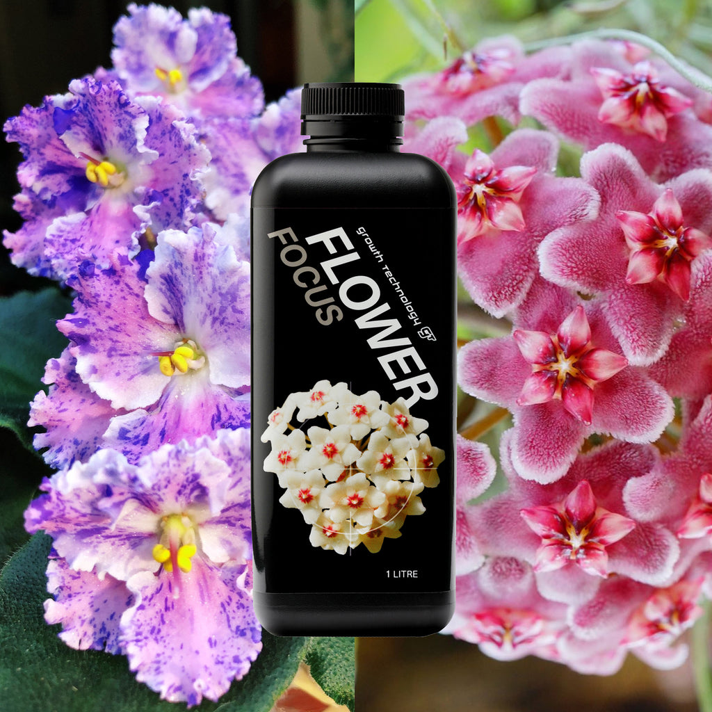 Growth Technology GT FLOWER Focus - 1 litre – lovethatleaf