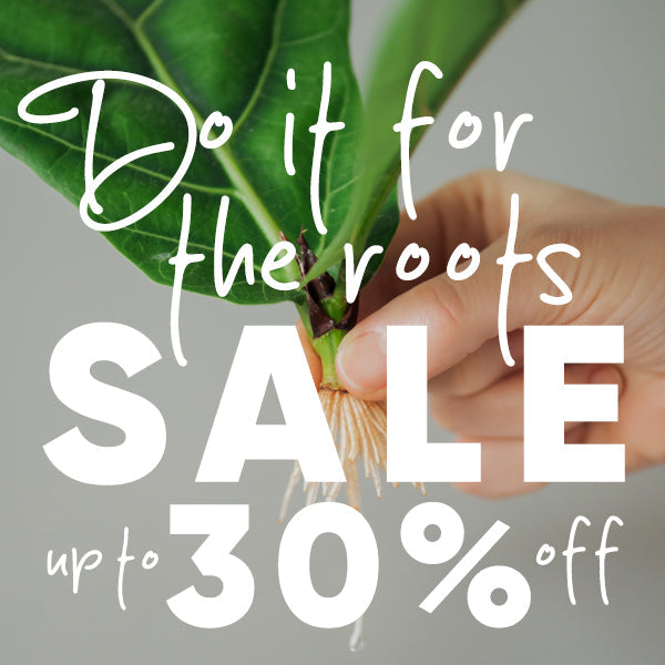 Do It For The Roots SALE – lovethatleaf