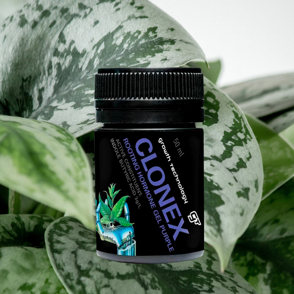 GT Clonex Rooting Gel - Purple 50ml – lovethatleaf
