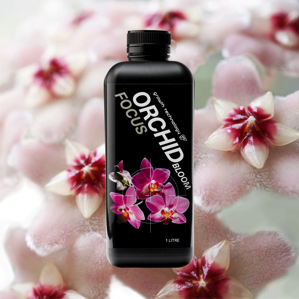 Growth Technology Orchid Focus BLOOM - 1 Litre – lovethatleaf