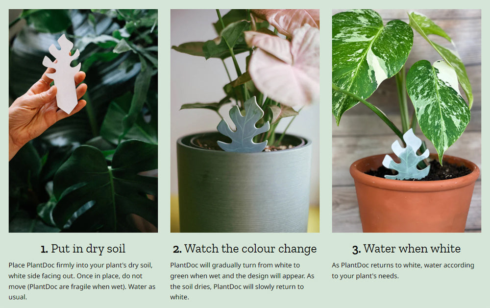 PlantDoc Moisture Meter - Mini Monstera - 5 pack – lovethatleaf