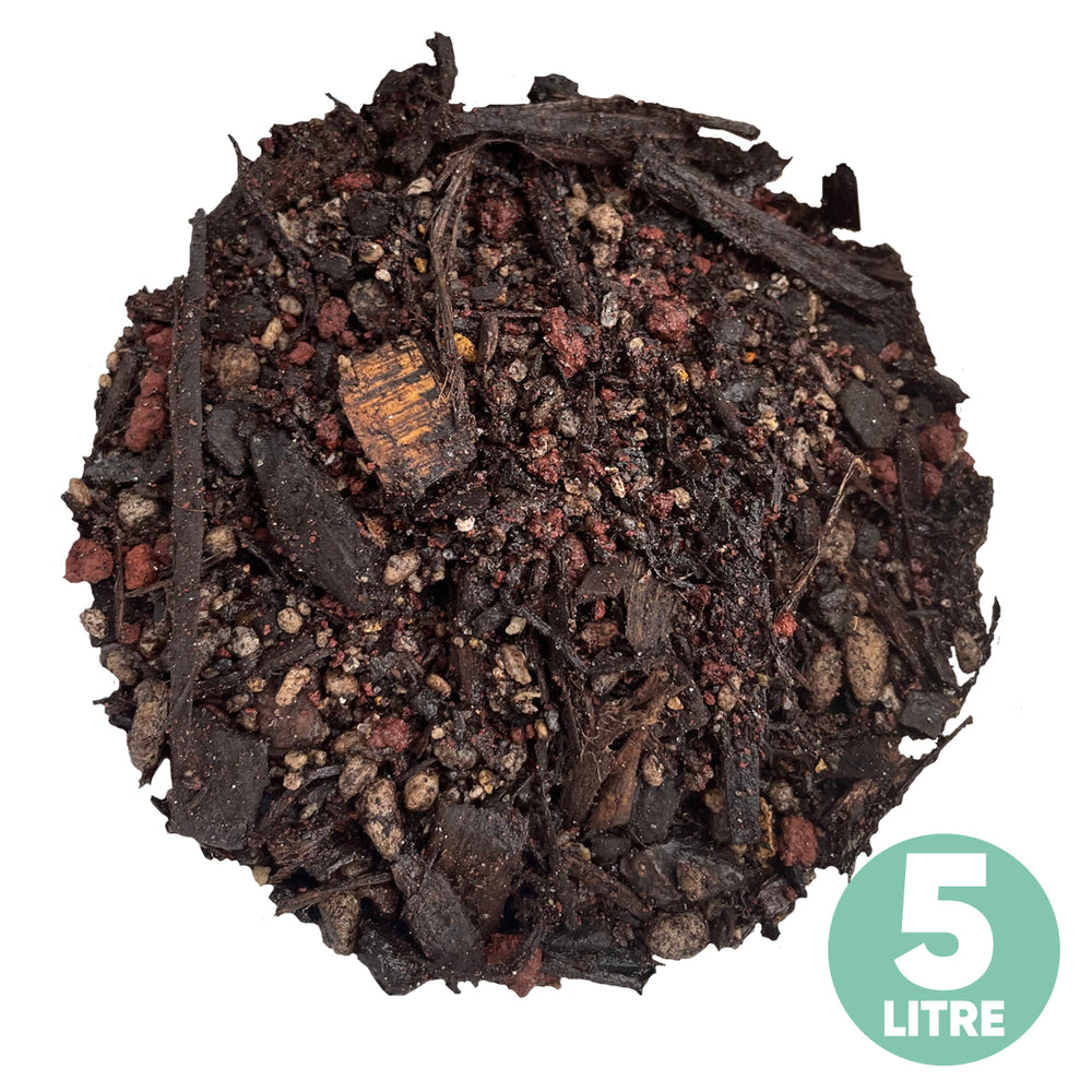 Bio Leaf Desert CACTI & Succulent Mix - 5 litre – lovethatleaf