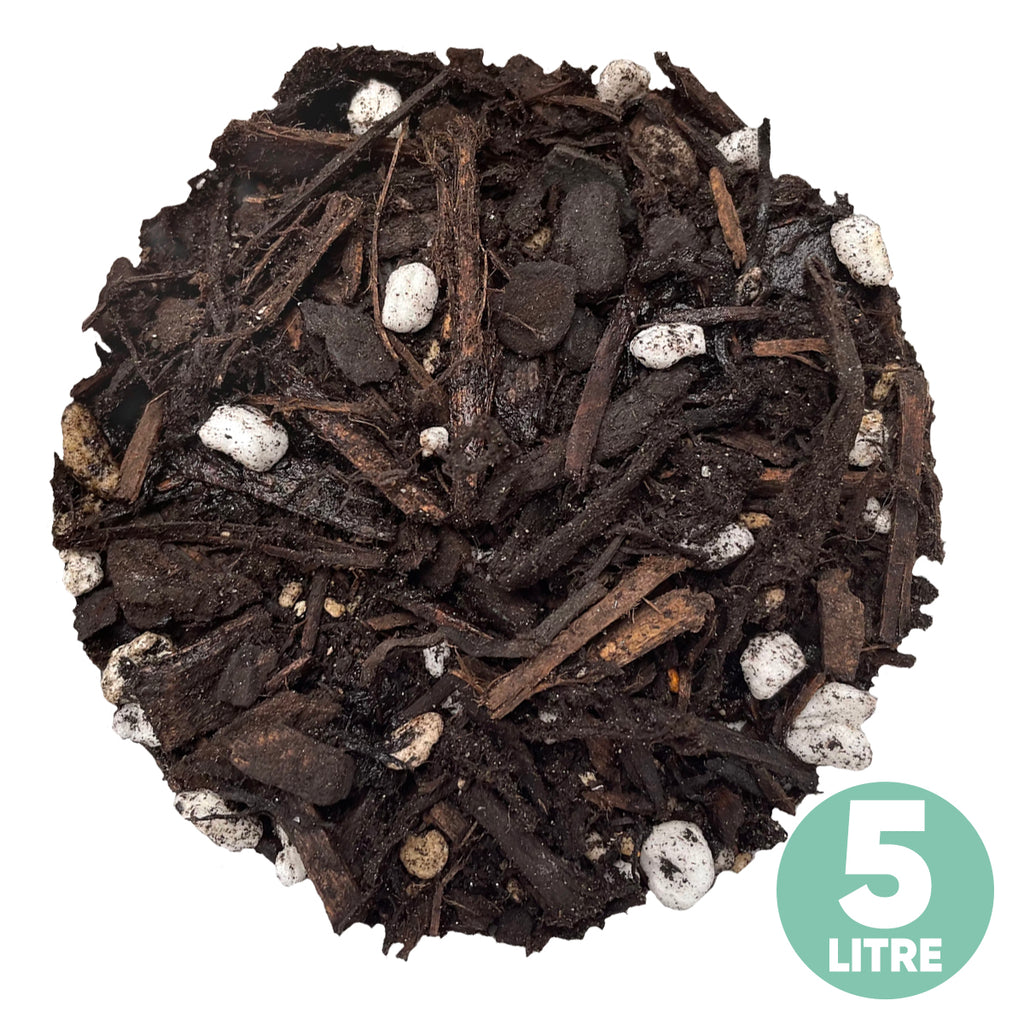 Bio Leaf SUCCULENT & Jungle Cacti Mix - 5 litre – lovethatleaf
