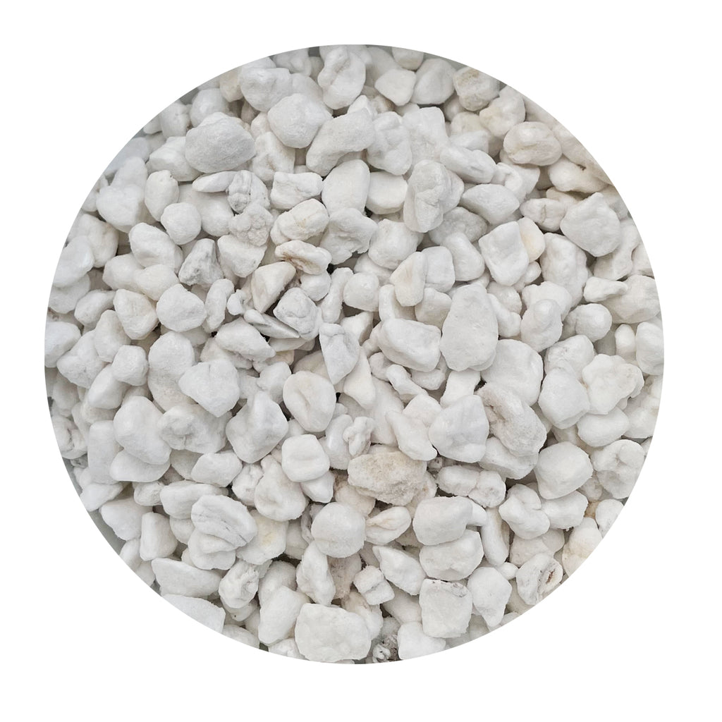 Bio Leaf PERLITE Super Chunky - 2 litres – lovethatleaf