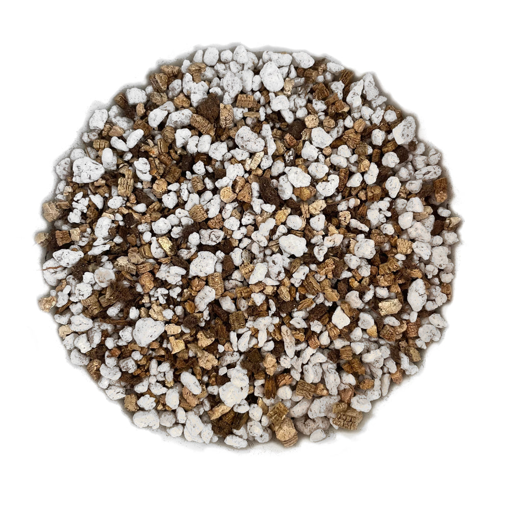 Bio Leaf Starter Mix 2 litre – lovethatleaf