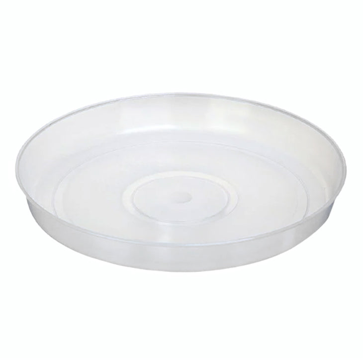 Rain Clear Saucer - Extra Large 19.5cm - For 20cm and 23cm pots ...