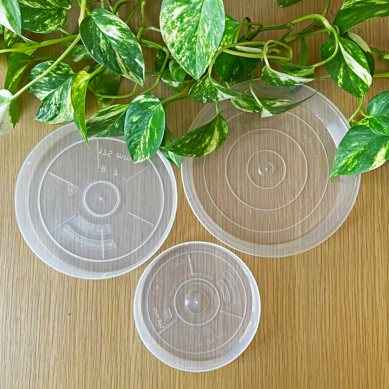 Rain Clear Saucer - Extra Large 19.5cm - For 20cm and 23cm pots ...