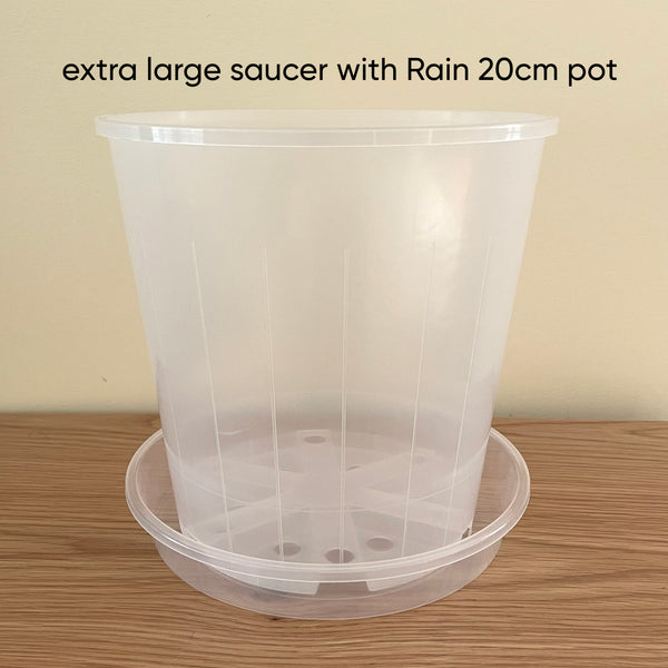 Rain Clear Saucer - Extra Large 19.5cm - For 20cm and 23cm pots ...