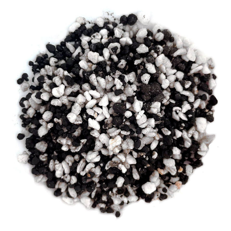 Stratum Perlite Propagation Blend from The Rare Plantation - 1 Litre ...