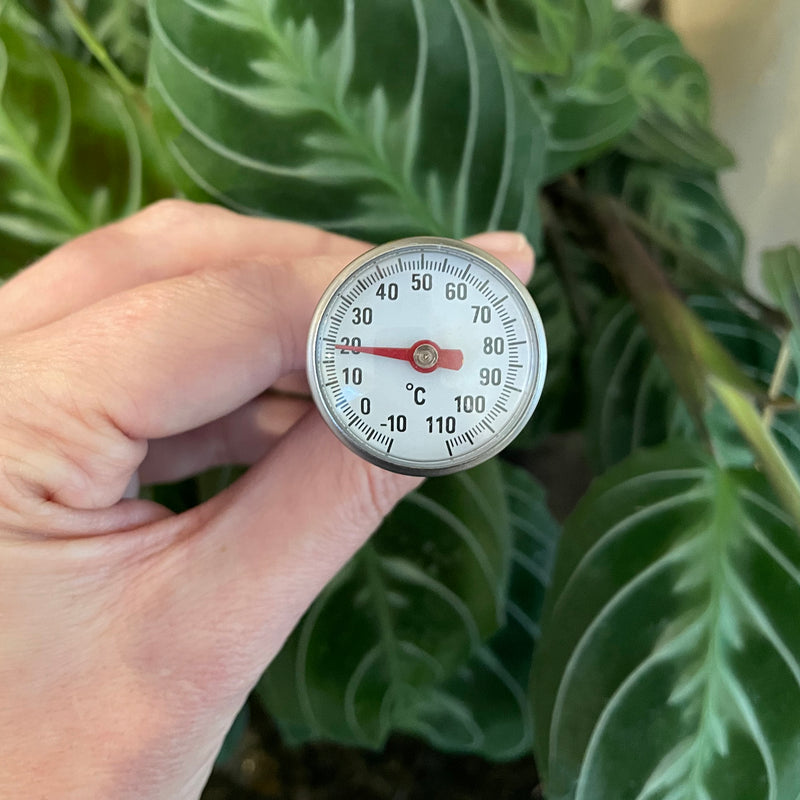 Soil Thermometer – lovethatleaf