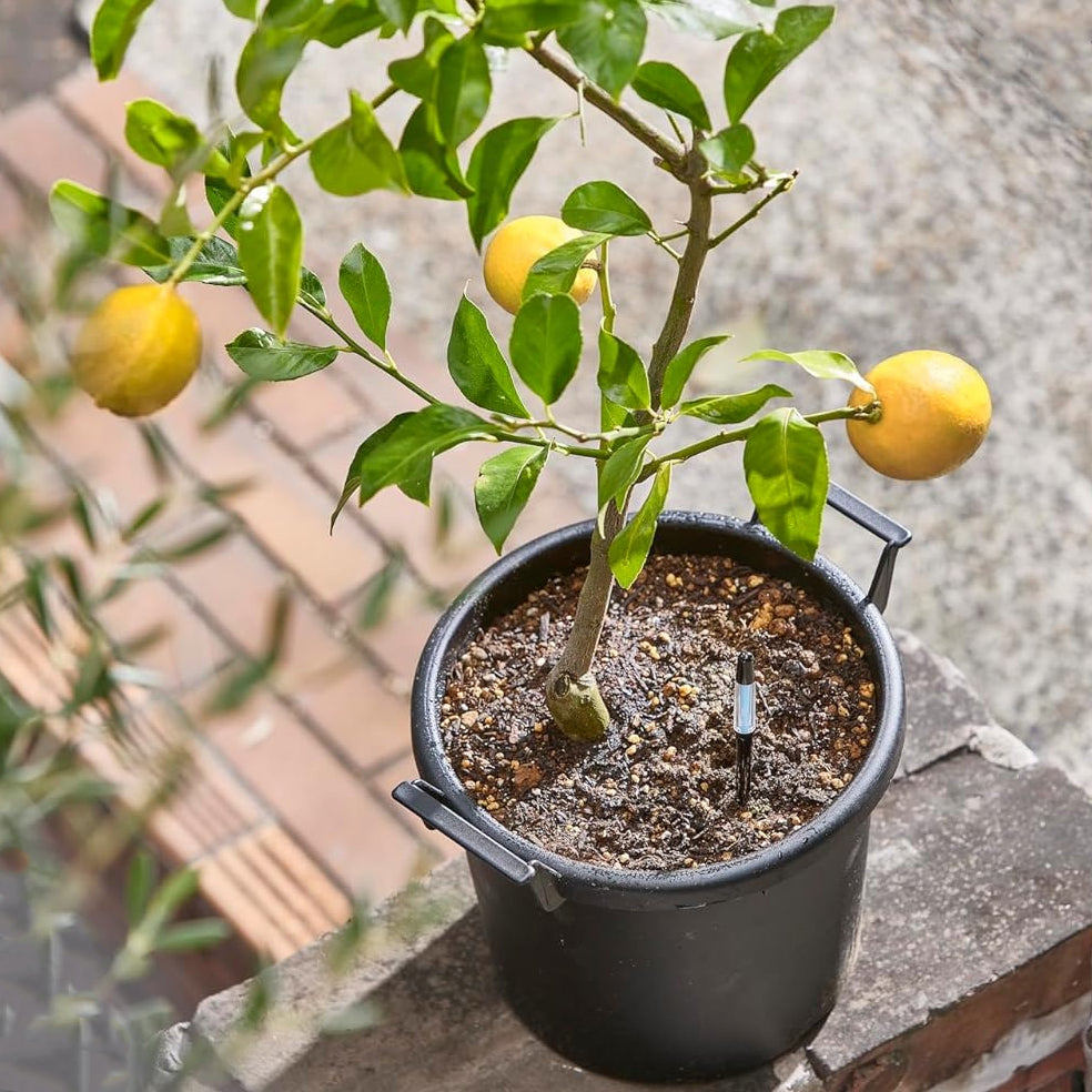 Sustee Water Meter - BLACK (3 sizes) – lovethatleaf