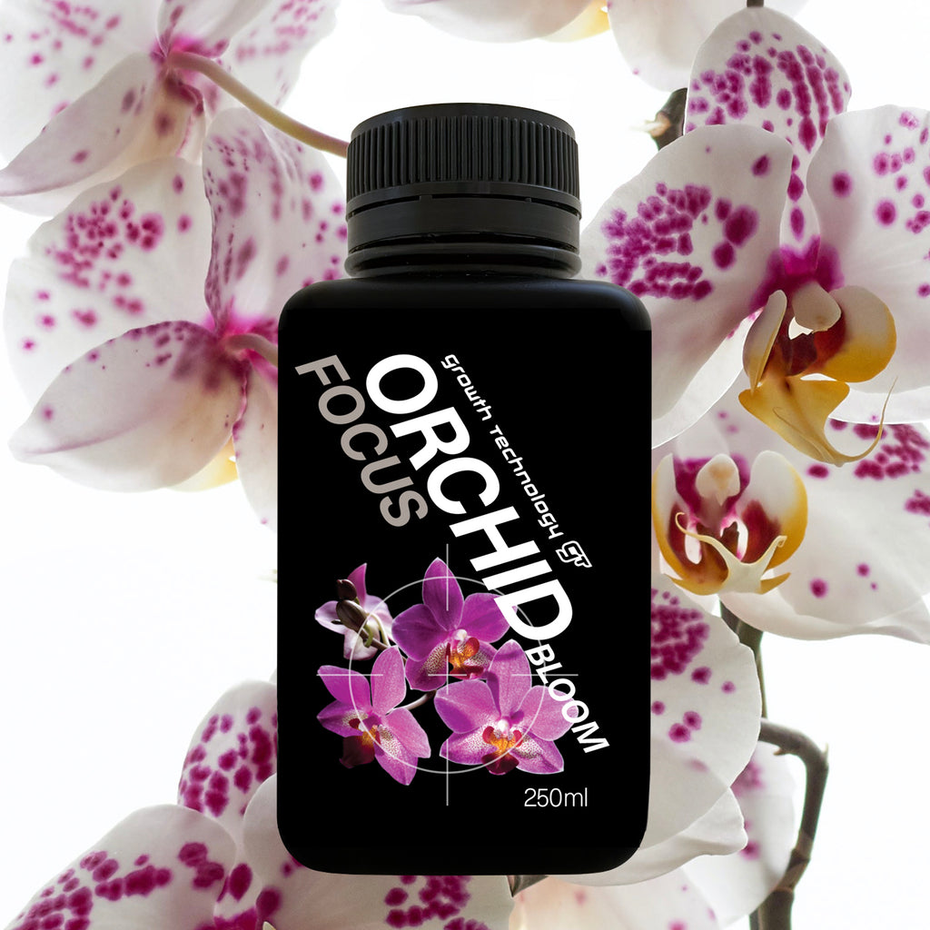 Growth Technology Orchid Focus BLOOM - 250ml – lovethatleaf