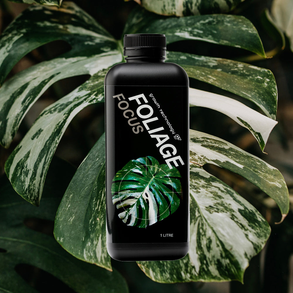 Growth Technology GT FOLIAGE Focus - 1 Litre - Official stockist ...